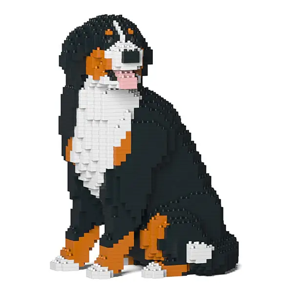 JEKCA Bernese Mountain Dog 05B • SCULPTOR BLOCKS