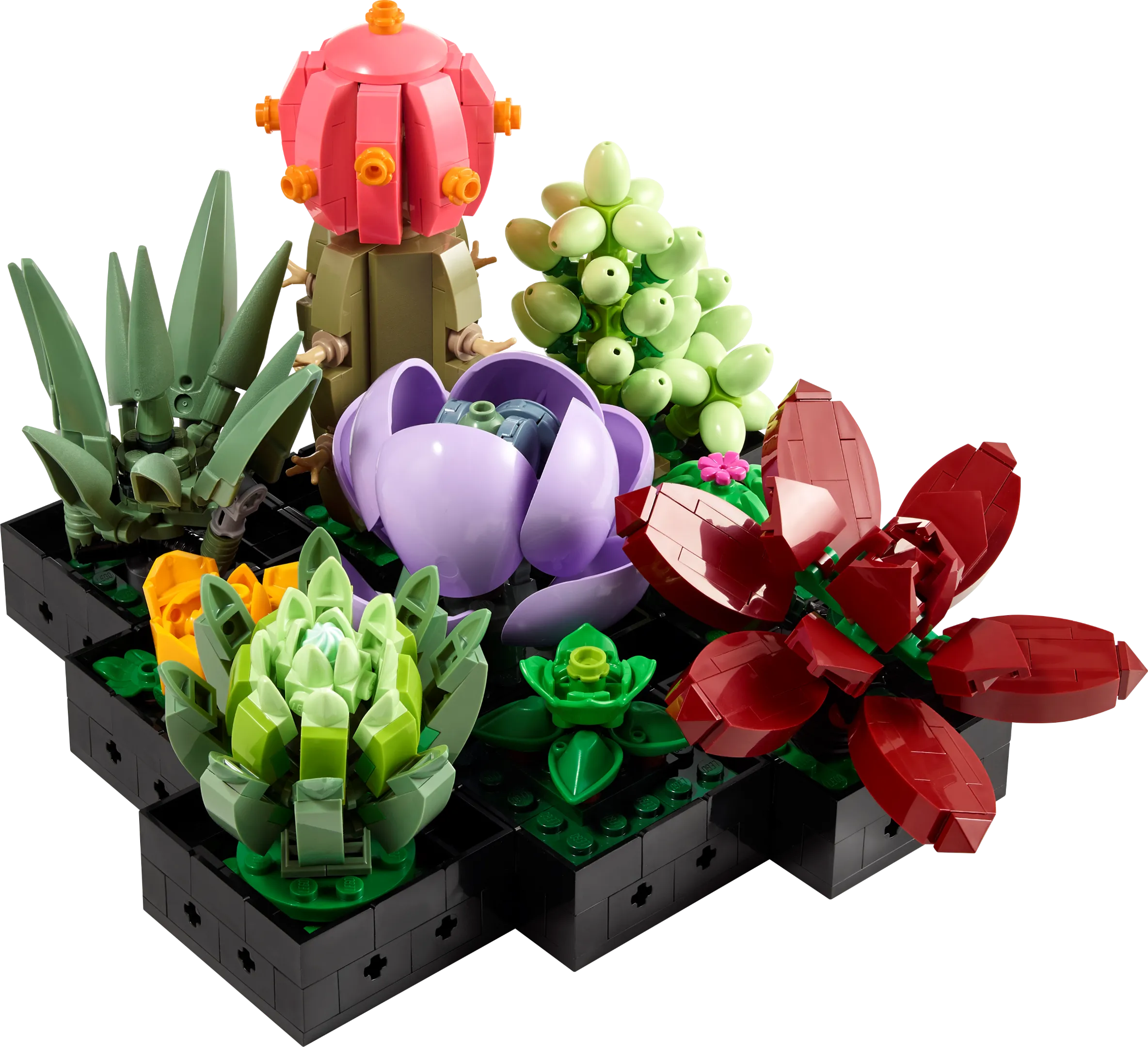 LEGO Icons Botanical Collection Succulents • Set 10309