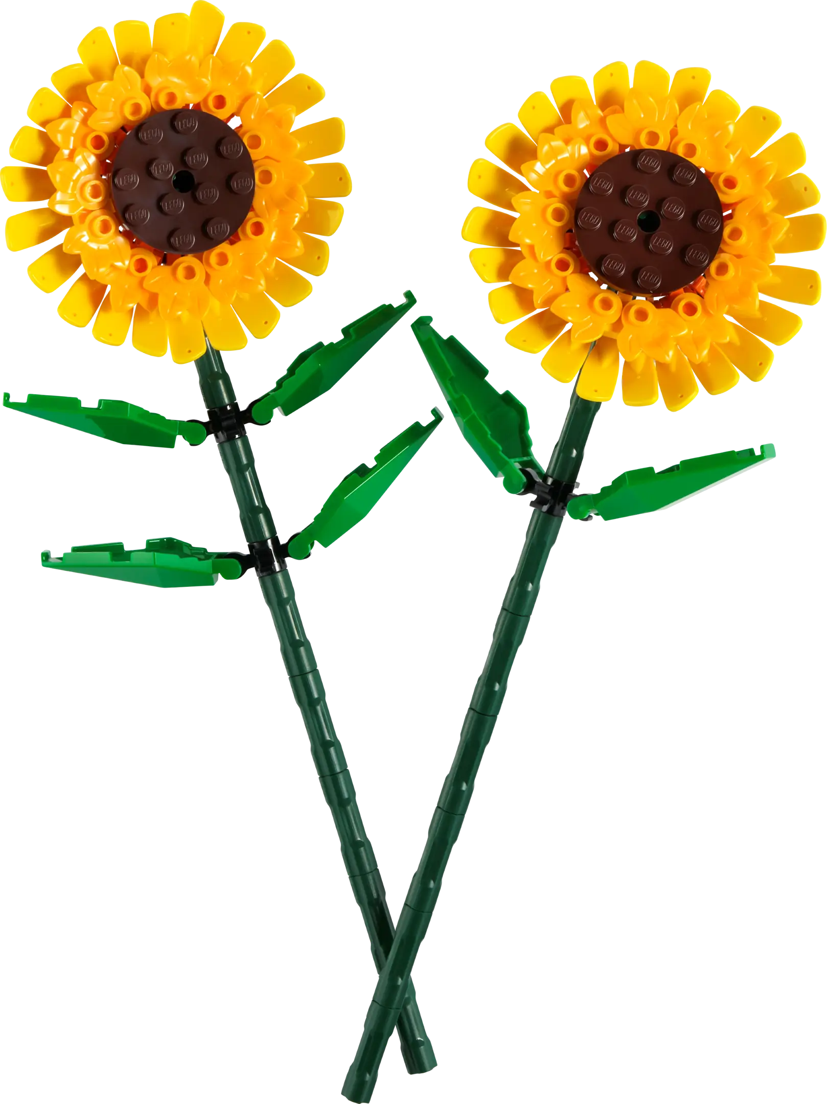 LEGO Creator Sunflowers • Set 40524 • SetDB • Merlins Bricks