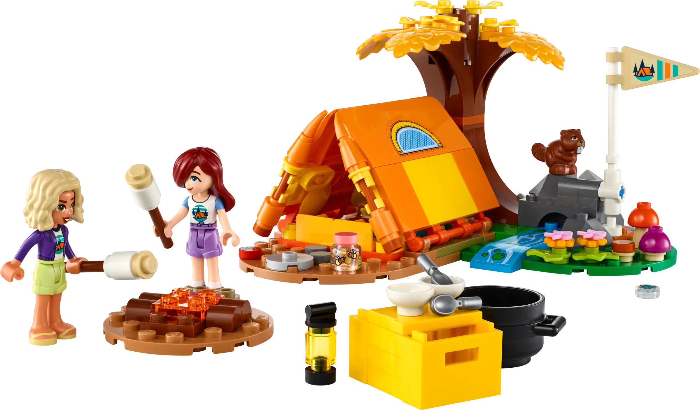 LEGO Friends Camping Abenteuer am Fluss Set 40694 SetDB